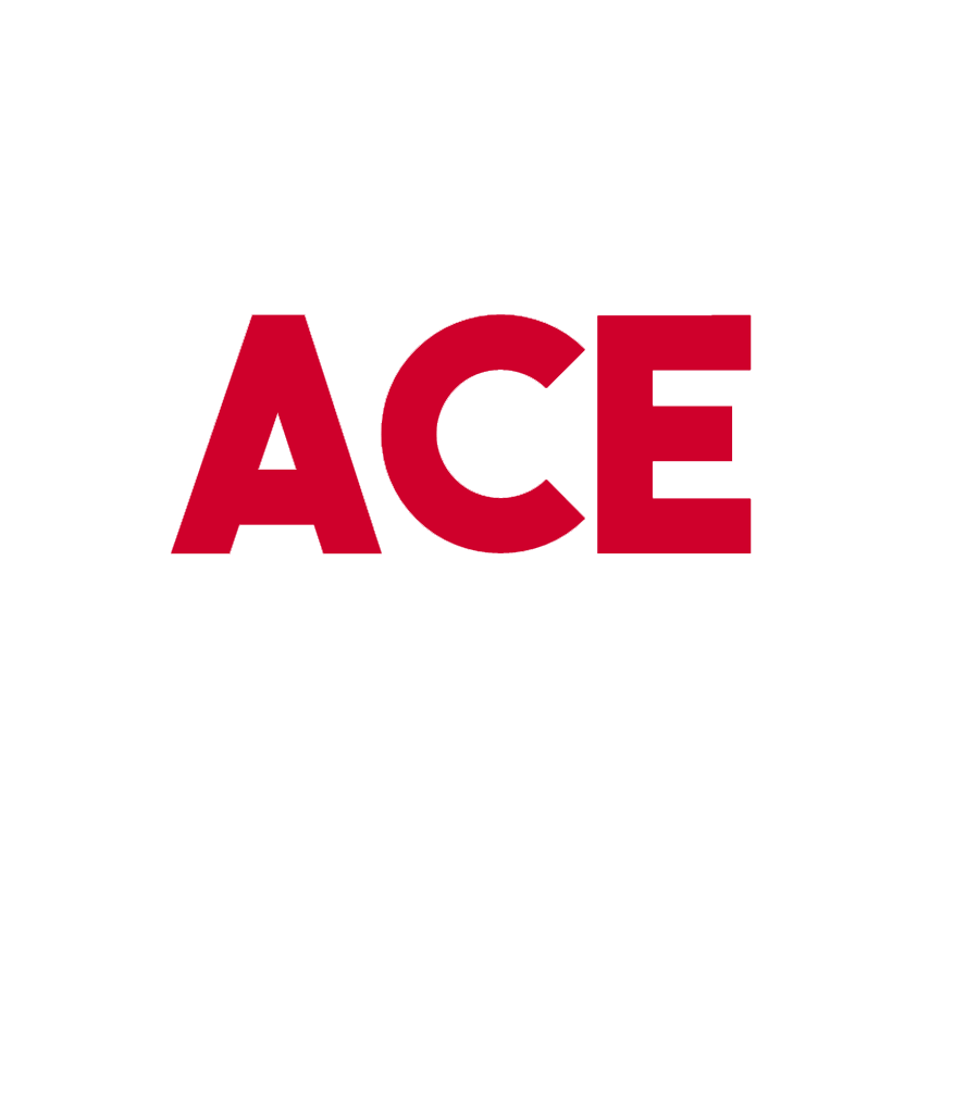 Ace The Brand Building Marketing Team – Ace Brand Builders – We are ...